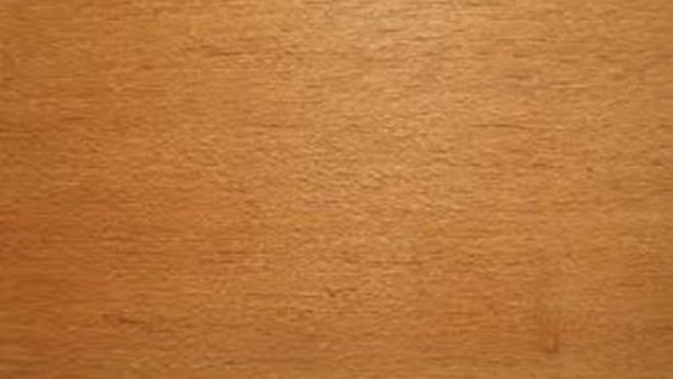 Teak (Types of wood) | Libéron woodcare products